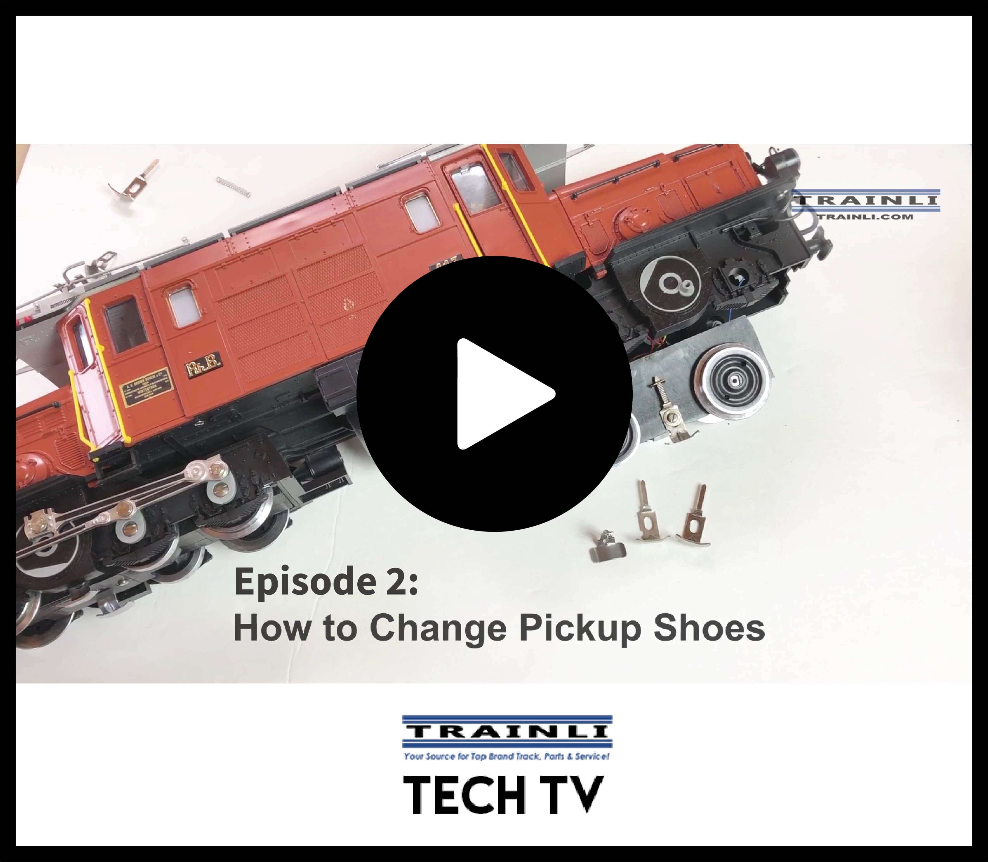 TRAINLI - LGB and G-scale Experts